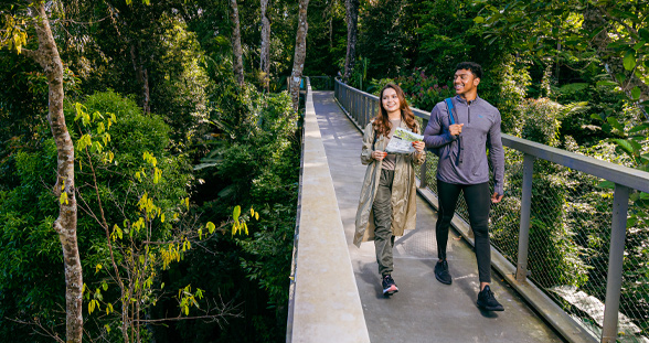 Firefly Airlines | Recharge with a mid-year air-scape!